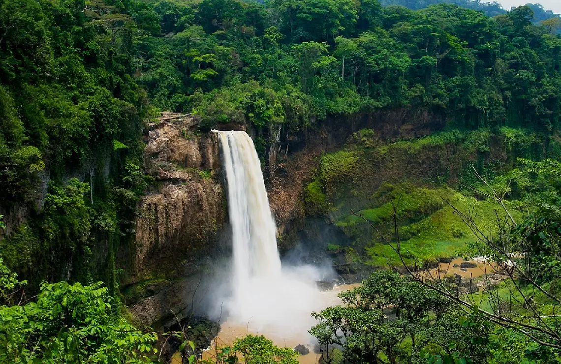 Ultimate Central Africa Bucket List - Create with Bookitlist - BookitList